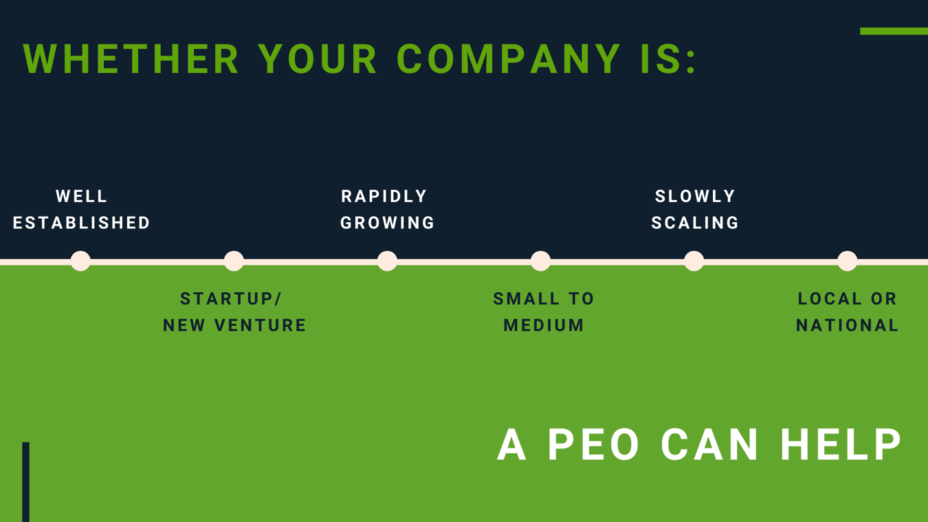 What is a PEO?
